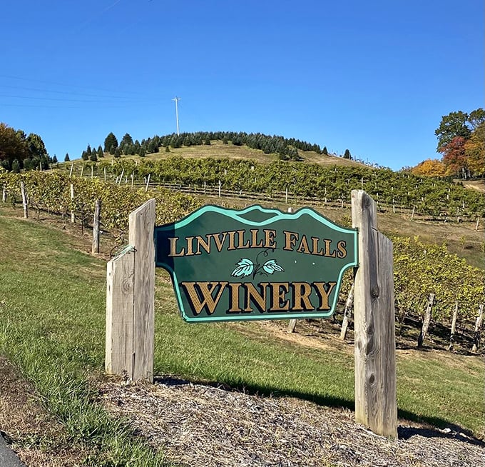 The sign promises what the experience delivers: authentic mountain wines without pretension, just genuine Blue Ridge character in every glass.