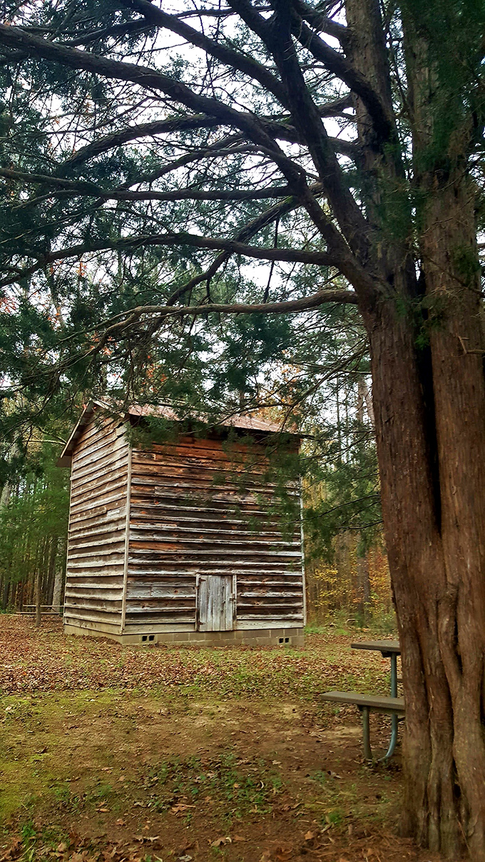 This weathered wooden structure has seen more seasons change than most of us have seen Netflix shows. History you can touch, standing quietly in the forest.