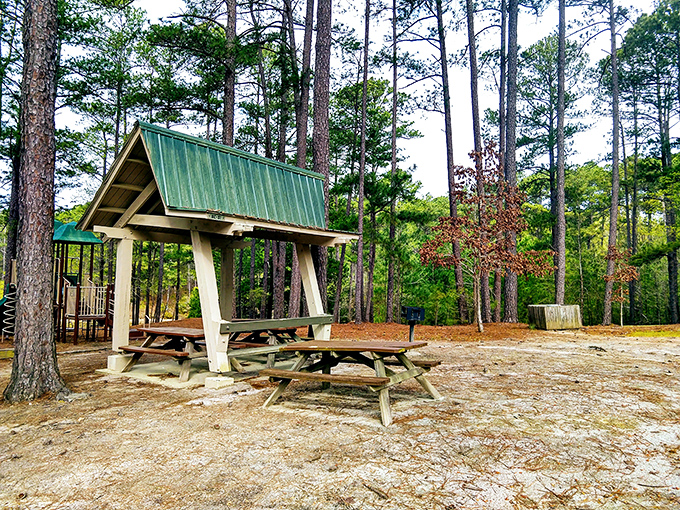 Covered picnic areas overlook peaceful waters where fish jump and families gather for perfect outdoor meals.