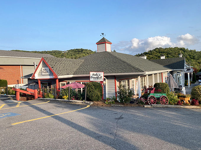 Mountain town magic happens at elevation where ski slopes and wildflower meadows share seasons.