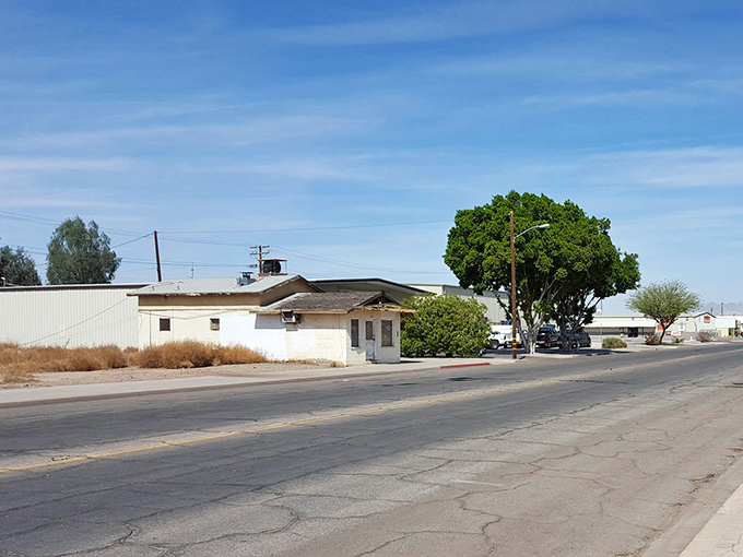Blythe's desert landscape stretches endlessly, reminding you that some horizons are worth the journey to reach them properly.