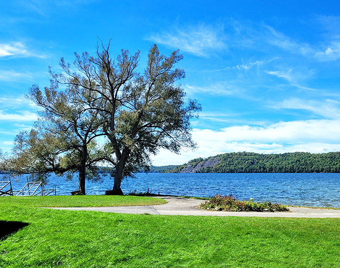Twin trees stand guard over Castleton's crystal-clear lake, like old friends who've been watching the water for centuries.