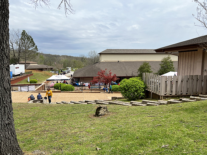 Community gathering spaces like this bring small-town Arkansas to life, where wooden benches and shaded pavilions create the perfect setting for making memories that last generations.