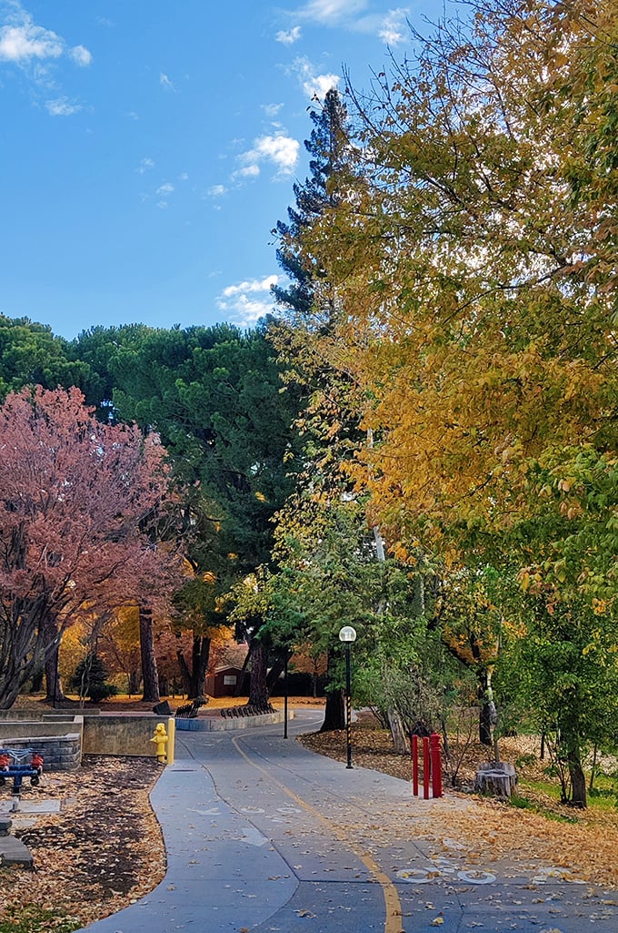 Bidwell Park's autumn colors paint nature's masterpiece, offering miles of trails where you'll find peace, exercise, and maybe enlightenment too.