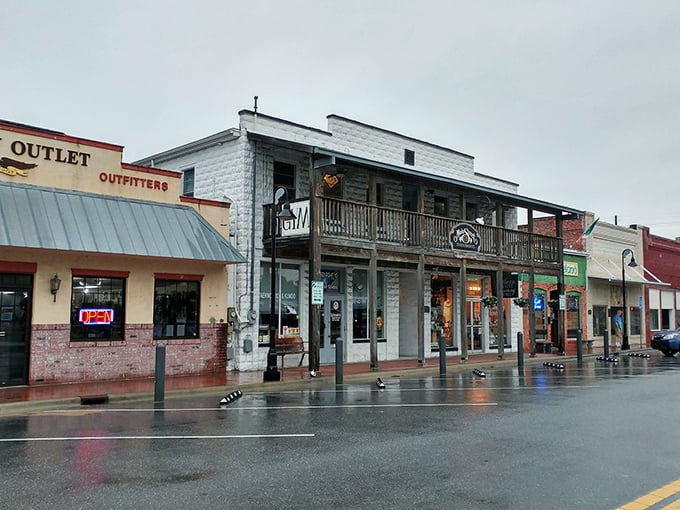 Crystal River&rsquo;s historic downtown shops welcome you with laid-back charm, offering everything from local eats to unique finds perfect for remembering your Gulf Coast getaway.