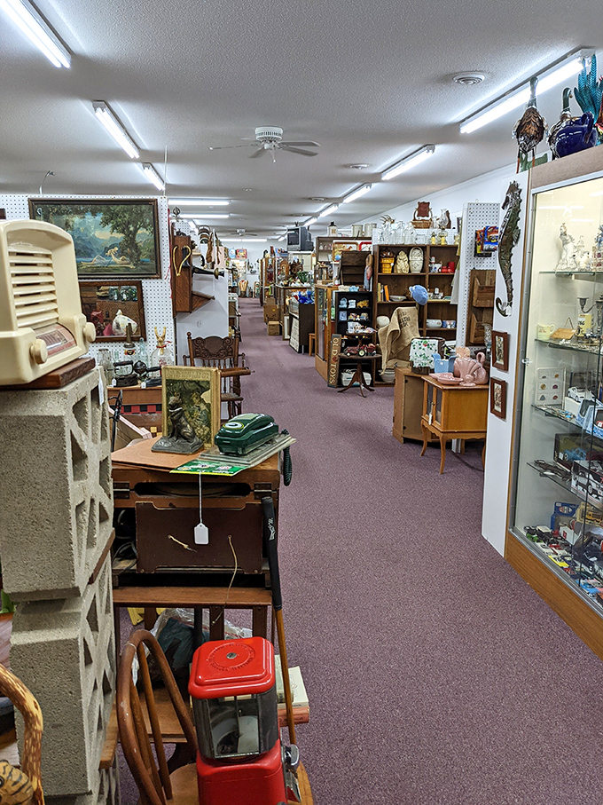 Purple carpet leads you through corridors of curiosities. It's like walking through your eccentric uncle's memories, only better organized.