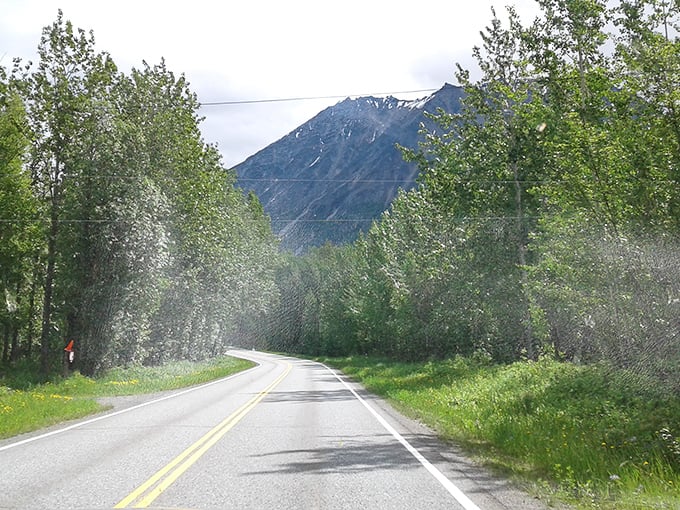 Delta Junction sits where the highway ends and peaceful retirement living begins, surrounded by endless Alaska sky.