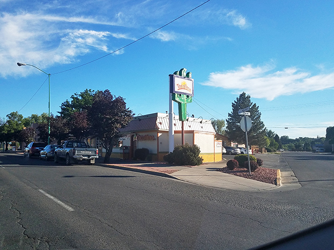 Delta's colorful storefronts welcome shoppers with small-town prices and big-hearted service. Affordable charm in western Colorado!