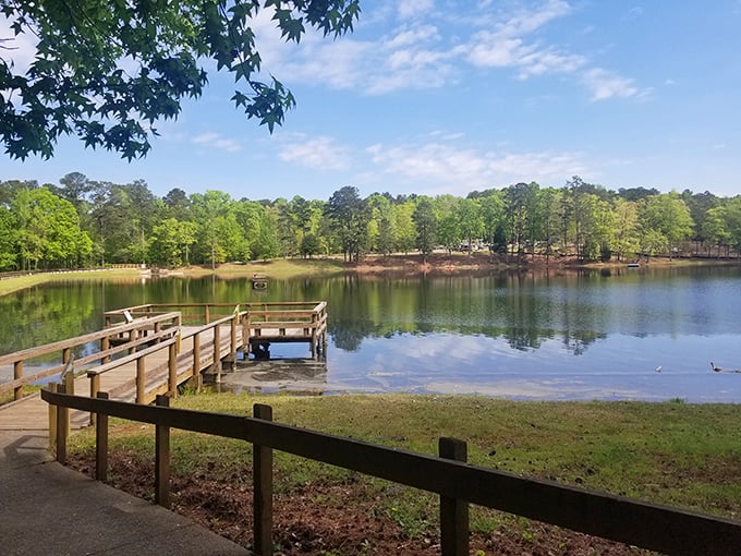F.D. Roosevelt Park's serene lake invites quiet contemplation, with a wooden dock extending like a welcome mat into nature.