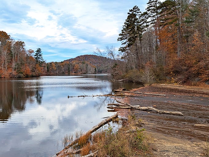 Lakeside serenity! This natural amphitheater offers front-row seats to water's edge performances.