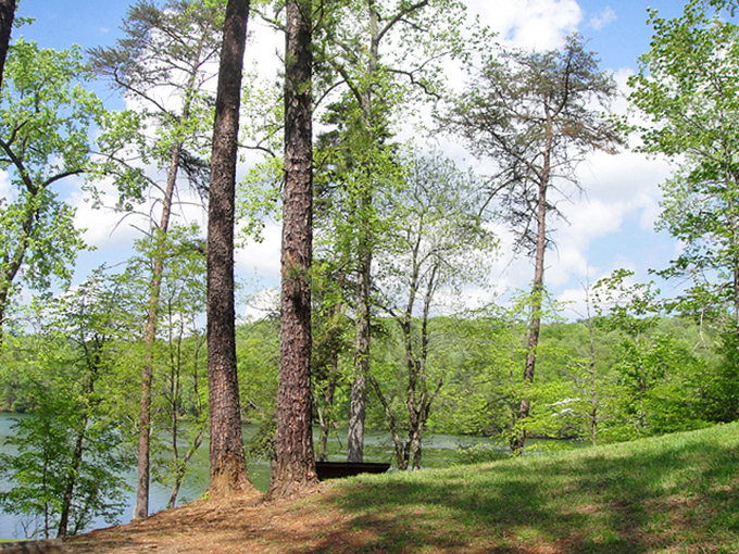 Fairy Stone's tranquil forest campground &ndash; where trees stand tall enough to whisper secrets from the Civil War.