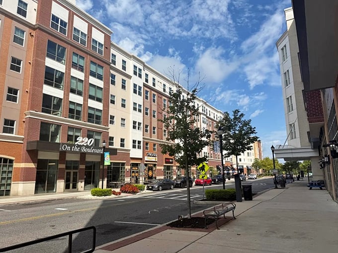 Glassboro's university-adjacent downtown combines youthful energy with senior-friendly housing costs—a rare combination in the Garden State.