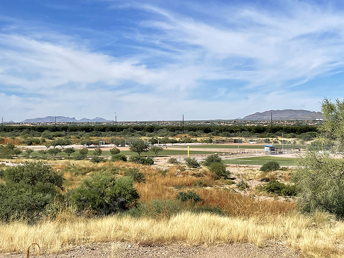 Green Valley's golden grasslands stretch toward distant mountains like nature's own retirement brochure. Who needs expensive landscaping with this view?