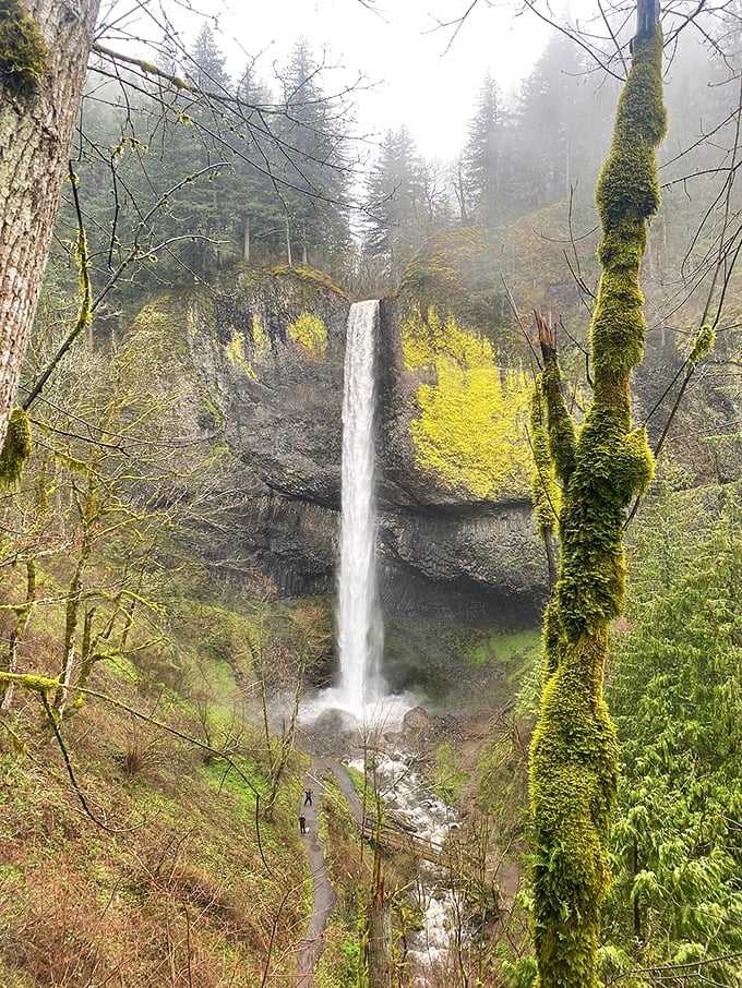 Latourell Falls' 249-foot plunge at Guy W. Talbot Park. That's not Photoshop&mdash;the yellow lichen really is nature's own highlighter.