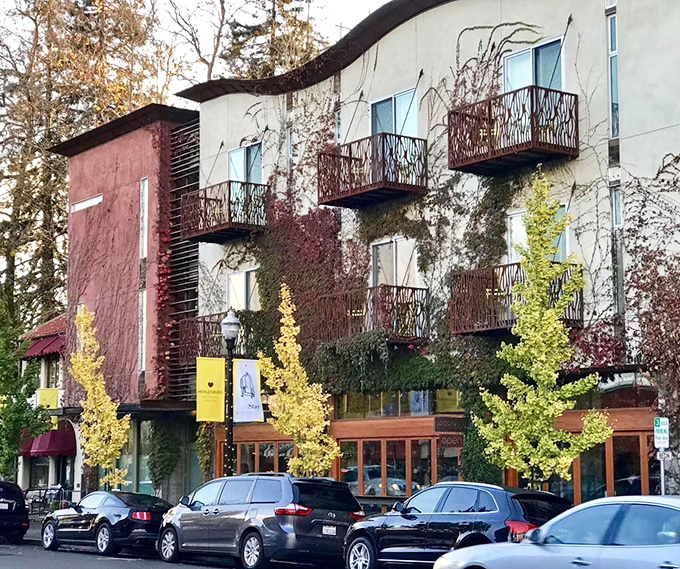 Autumn colors frame Healdsburg's streets, where wine country meets small-town America in a perfect pairing of old and new.