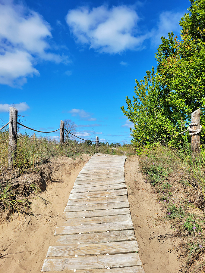 Sandy pathway to beach nirvana&mdash;this boardwalk promises the kind of escape that expensive therapists recommend.