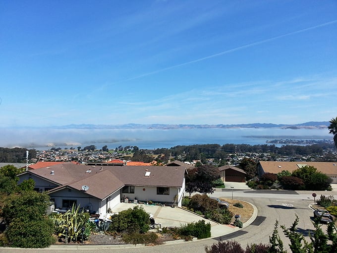 Los Osos offers coastal views that make you wonder why more people haven't discovered this hidden gem&mdash;and then feel grateful they haven't.