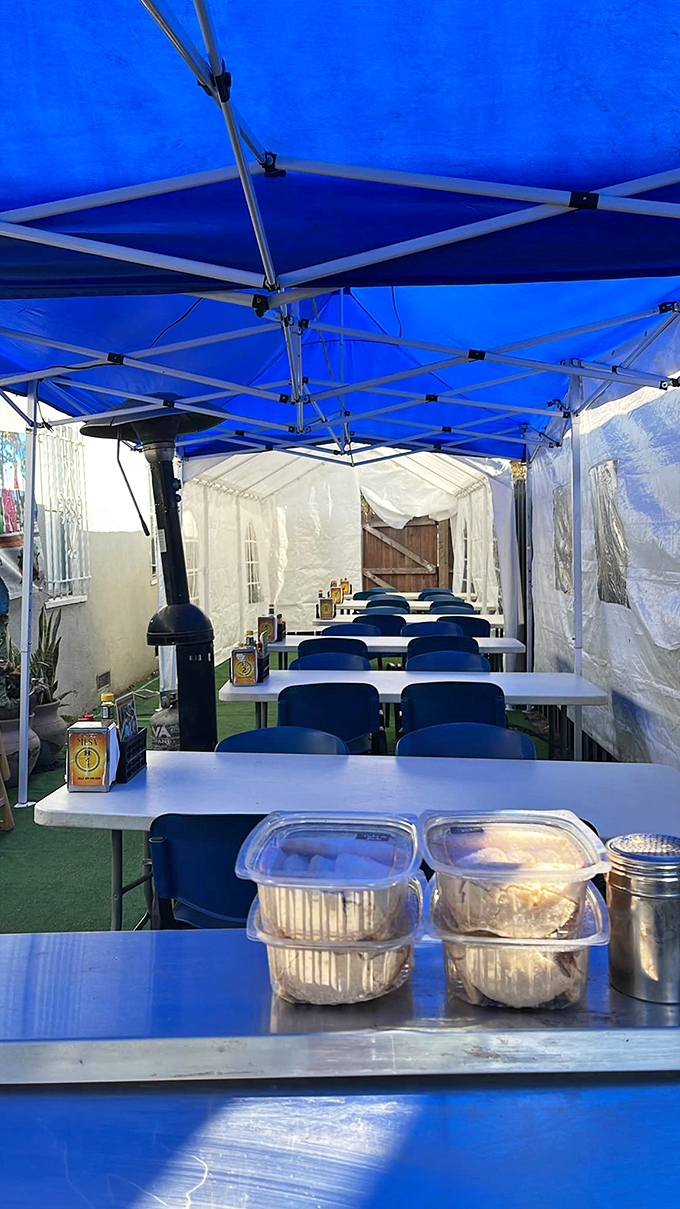 Blue tarps and plastic tables hide culinary treasures at Mariscos El Tambo. The best seafood often comes with zero frills.