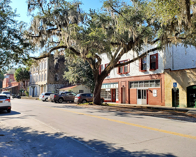 Micanopy's historic downtown features beautifully preserved architecture. These brick buildings have witnessed more than a century of Florida stories.