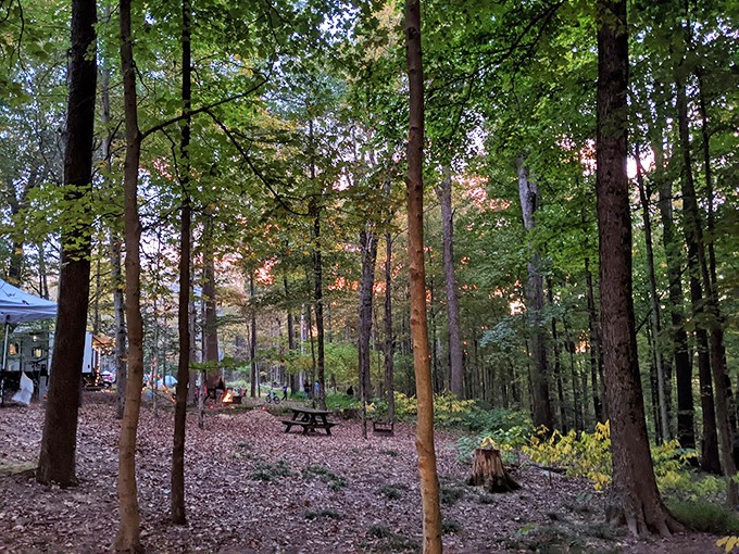 Peaceful woodland campsite at O&rsquo;Bannon Woods State Park &mdash; a perfect spot to unwind and enjoy nature.
