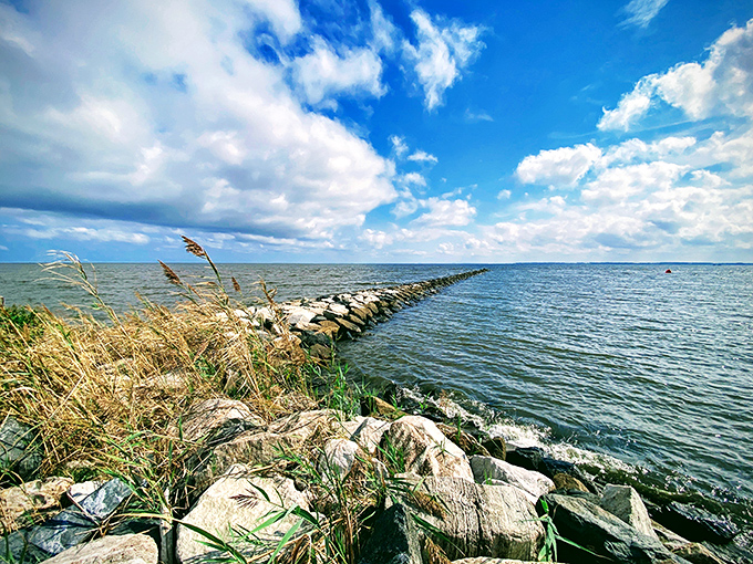Stone sentinels march into the Chesapeake at Sandy Point, where grasses dance in the breeze like nature's welcoming committee.