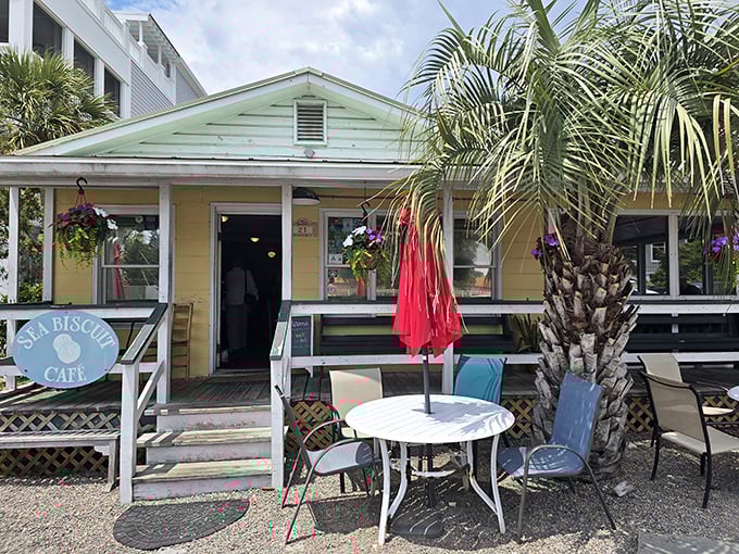 Sea Biscuit Cafe: Beachy yellow cottage that practically whispers "homemade." The kind of porch that makes you want to linger over one more coffee refill.