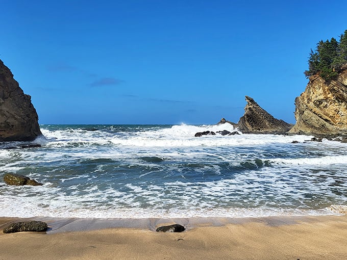 Shore Acres' dramatic coastline where waves and rocks play an endless game of tag.