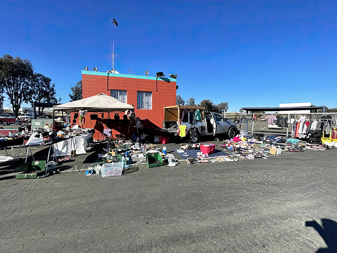 Solano Swap Meet spreads across the drive-in lot, where daytime treasures replace nighttime movies in a nostalgic setting.