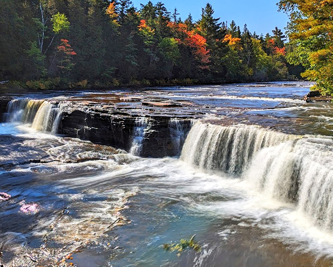 Tahquamenon Falls &ndash; where the water looks like it's been brewing the perfect cup of tea for centuries.