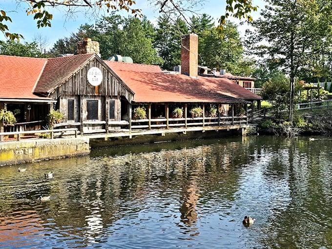 The 1761 Old Mill's rustic wooden charm sits perfectly beside tranquil waters. Dinner with a side of history!