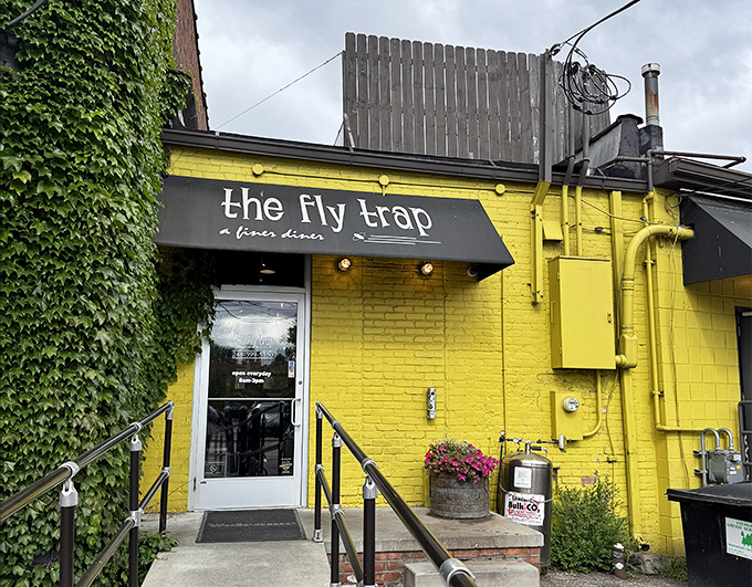 The Fly Trap's bold yellow brick practically shouts "Wake up!" &ndash; a morning alarm clock in building form.