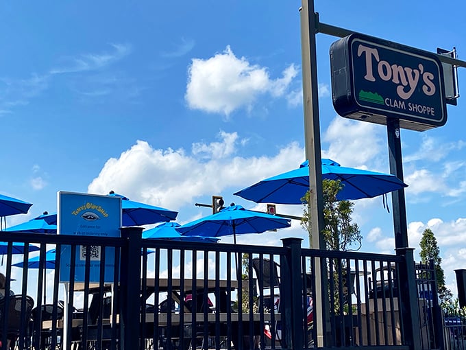 Tony's Clam Shop's bright blue umbrellas promise shade and seafood delights. Where Quincy Shore Drive meets fried clam heaven.