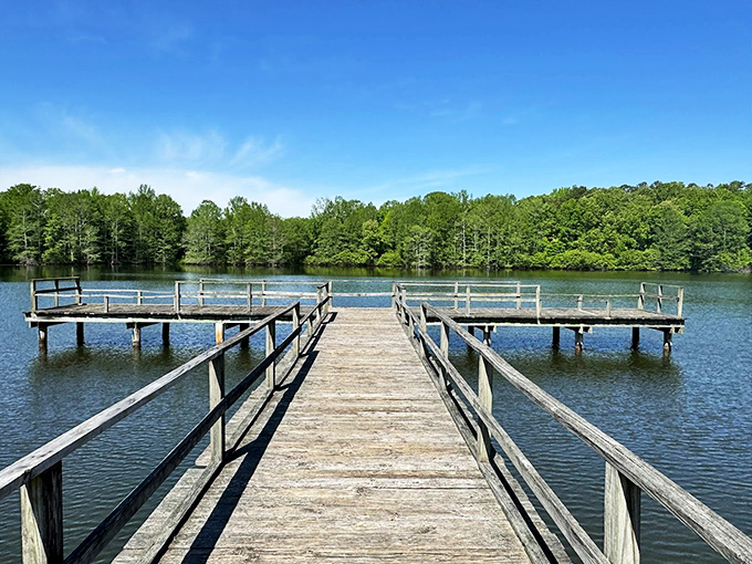 Wall Doxey State Park: Wooden pathway through emerald forest&mdash;nature's version of the yellow brick road, but with better scenery.