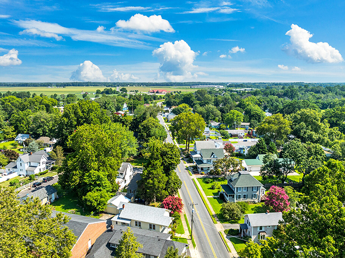 Wyoming's tree-canopied streets create a green tunnel of tranquility perfect for peaceful retirement.