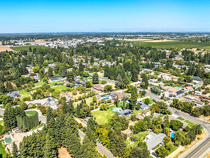 From above, Yuba City reveals itself as a patchwork of neighborhoods and greenery, with the Sutter Buttes visible on the horizon.