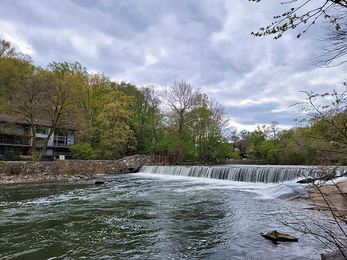 That waterfall at Alapocas doesn't just flow&mdash;it performs, creating nature's perfect soundtrack for your afternoon stroll.