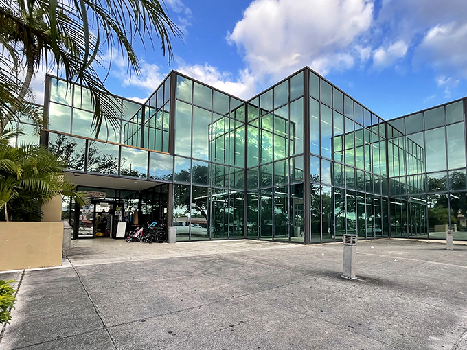 Sunlight dances through the impressive glass architecture, elevating thrift shopping to a surprisingly luxurious experience.