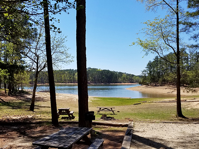 Sandy beaches meet calm lake waters, creating the perfect spot for building castles and childhood memories.