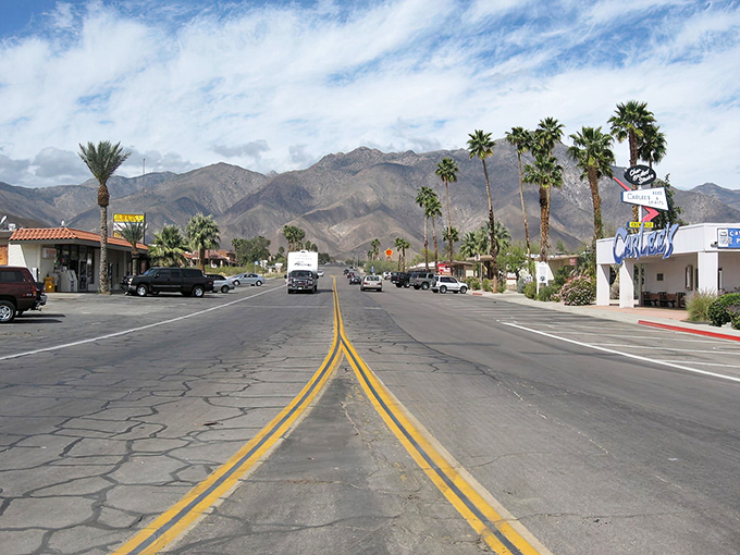 The road through Borrego Springs offers a classic desert tableau where every palm tree seems to be saying, "Yes, you're finally on vacation."