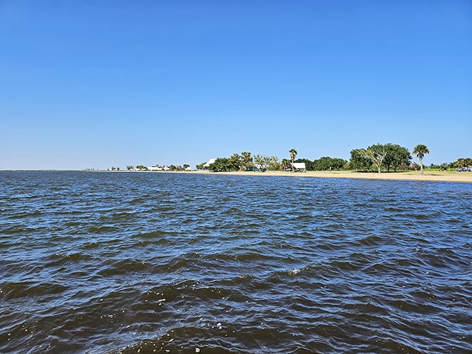 Palm trees swaying over calm Gulf waters create that vacation feeling, even though you're still within driving distance of your own bed.
