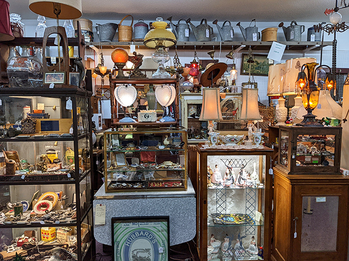 Vintage furniture and collectibles arranged with care. It's like someone's grandparents' house, if their grandparents had impeccable taste in everything.