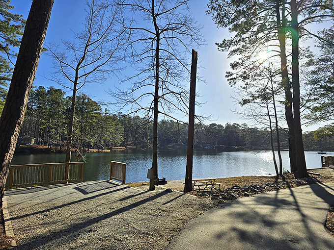 Sunlight filters through towering pines at F.D. Roosevelt Park, creating dappled shadows on waters that once refreshed a president.