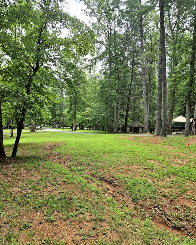 Nature's perfect social distancing spot at Fairy Stone State Park &ndash; peaceful enough to hear yourself think again.