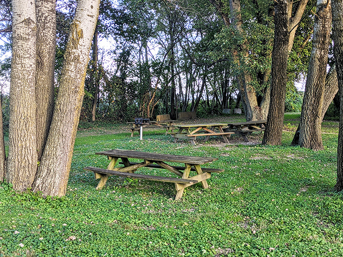 Picnic tables nestled among towering trees at Fort DuPont offer shaded retreats for summer lunches and family gatherings. Nature's dining room is always open!