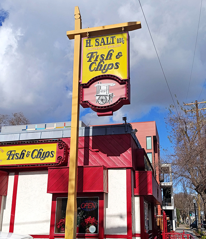 That tall yellow sign at H Salt isn't just for show – it's nature's way of guiding hungry humans to crispy, golden fish and chips paradise.