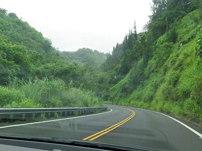 Rainforest car wash included at no extra charge! Hamakua's misty mountain curves deliver more shades of green than your local paint store.