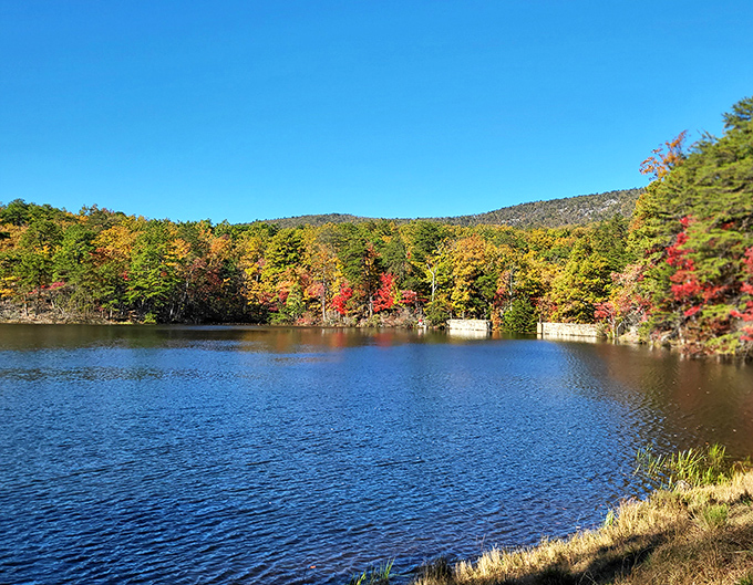 This quartzite formation creates one of North Carolina's most breathtaking natural overlooks.