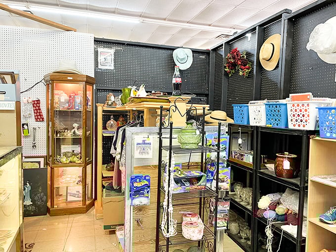 Inside Karen's, carefully arranged displays showcase collectibles in a treasure hunter's paradise.