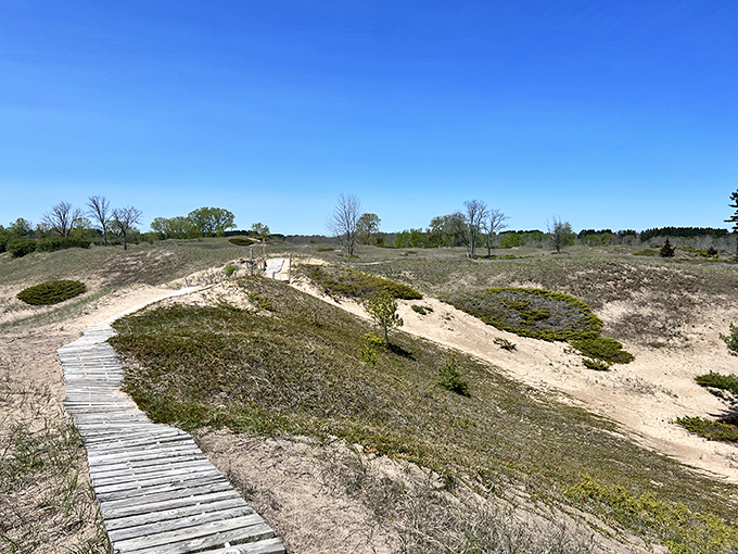 Dune wanderlust! This wooden path through sandy hills feels like Wisconsin's answer to Cape Cod&mdash;minus the lobster rolls.