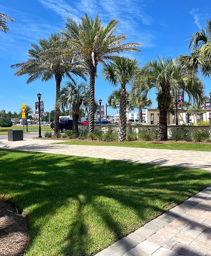 Stately palms stand guard over Lynn Haven's public spaces, creating postcard-worthy scenes around every corner.
